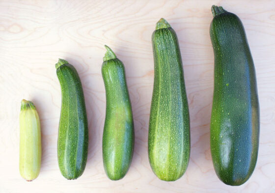 How to Make Grilled Italian Stuffed Zucchini Boats - gfreedeliciously.com